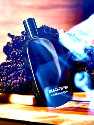 Blackpepper Comme des Garcons para Hombres y Mujeres | Parfumistas