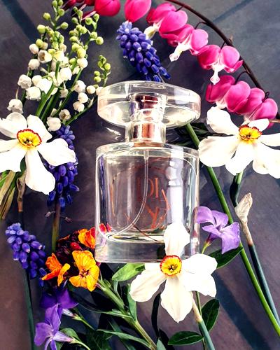 Diane Eau de Toilette Diane von Furstenberg para Mujeres | Parfumistas