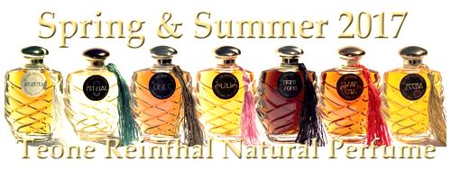 Odile New Edition TRNP para Hombres y Mujeres | Parfumistas