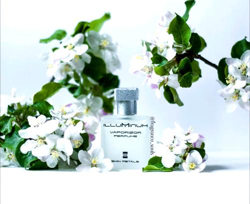 Skin Petals Illuminum para Hombres y Mujeres | Parfumistas