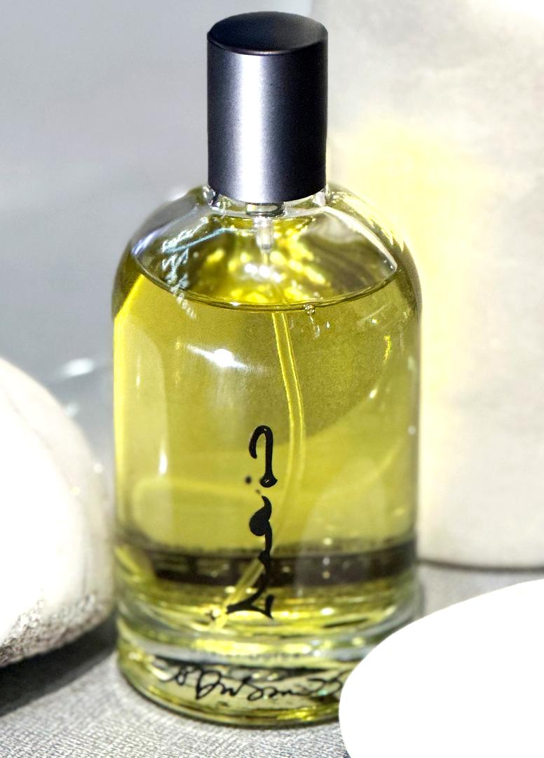 Pierre Blanche Prophetie 19:I.0 Olivier Durbano para Hombres y Mujeres ...