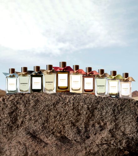 Ash Flower Burberry para Hombres y Mujeres | Parfumistas