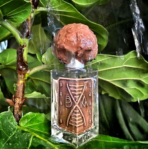 Brain Dance Broken Anatomy Perfumes para Hombres y Mujeres | Parfumistas