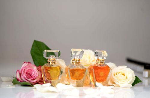 Escape Velocity Benigna Parfums para Hombres y Mujeres | Parfumistas