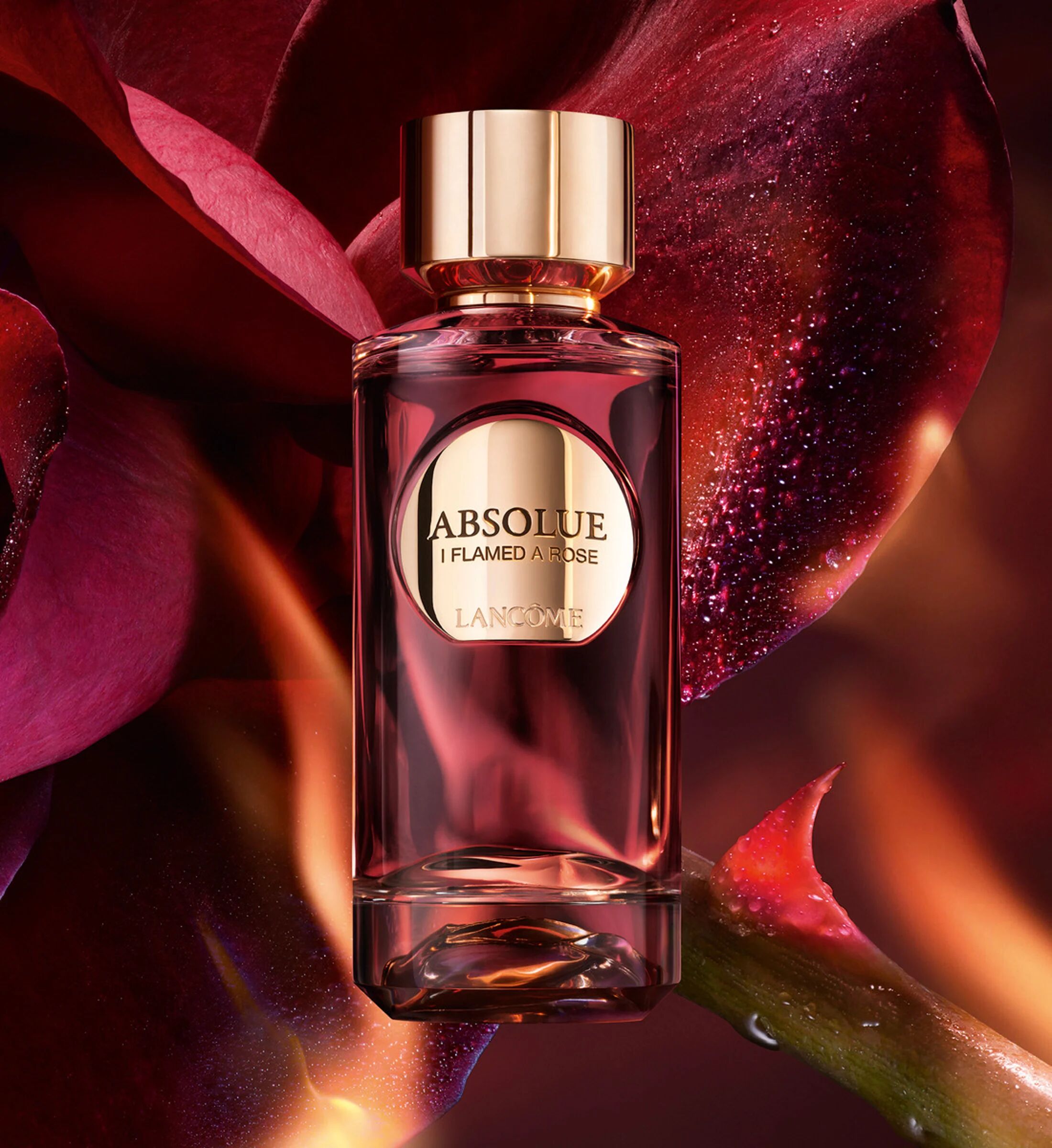 Absolue I Flamed A Rose Lancôme para Hombres | Parfumistas